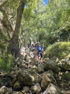 Skeleton Gorge - Lekker Hike Cape Town
