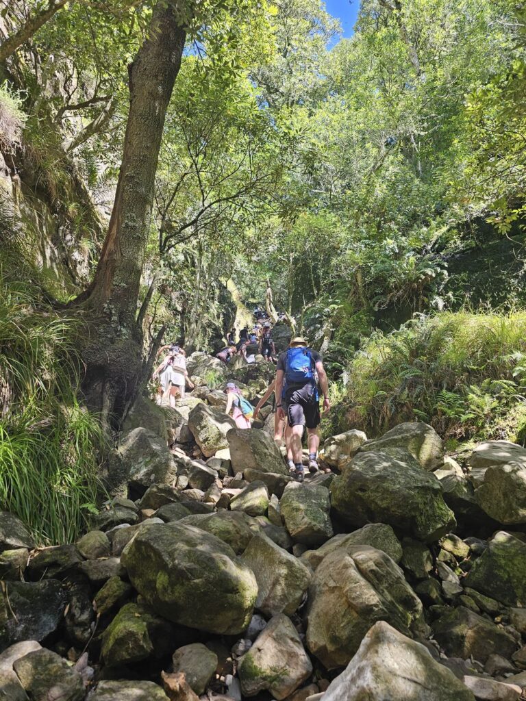 Skeleton Gorge - Lekker Hike Cape Town
